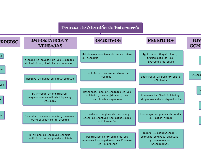 Proceso de Atención de Enfermería - Mind Map